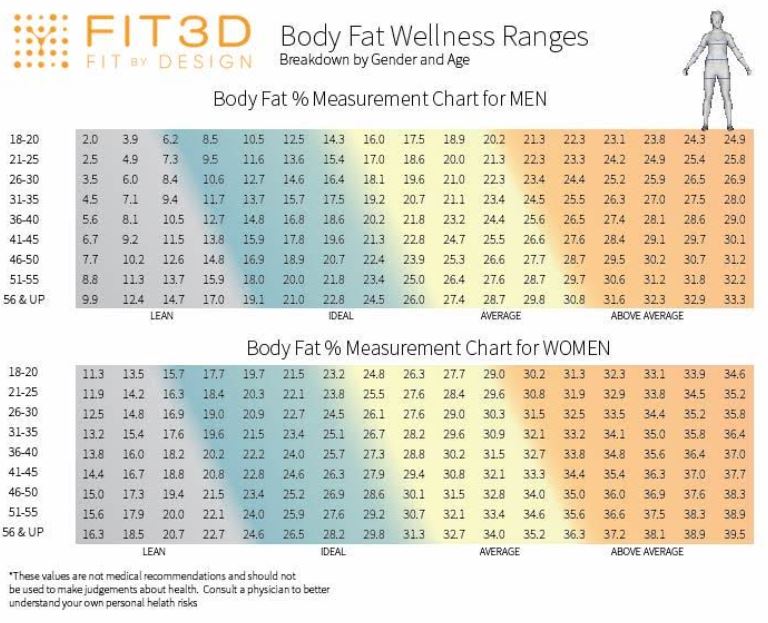 How to use your Fit3d Dashboard - Health and Fitness Testing NZ
